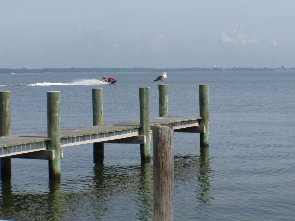 Normandy Beach, NJ Jersey Shore Vacation Rentals, Jersey Shore Vacation ...